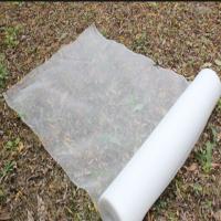 China Customized Size Insect Net 50 Mesh Agricultural Insect Prevention Net for sale