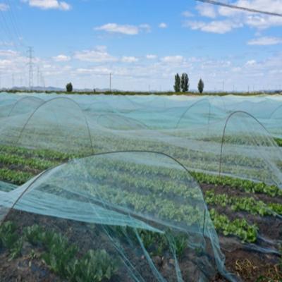 China Permeable Mesh Insect Net Standard And Custom Sizes For Greenhouse Crop Growth Protection for sale