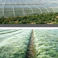 China High Density Mesh Insect Net Greenhouse Farm Vegetable Insect Screen for sale