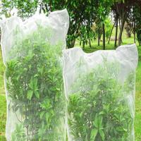 China Heavy Duty Insect Screen Custom Width Length Mesh For Greenhouse Anti Bug Plant Cover Net for sale