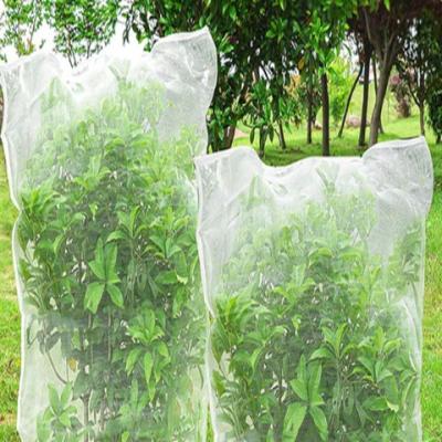 China Heavy Duty Insect Screen Custom Width Length Mesh For Greenhouse Anti Bug Plant Cover Net for sale
