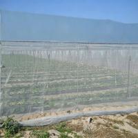 China Custom Width Length Insect Net High Mesh Garden Plant Insect Protection Net for sale