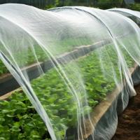 China 3m Width 20m Length 60 Mesh Garden Netting Anti Bird For Fruit Trees Orchard for sale