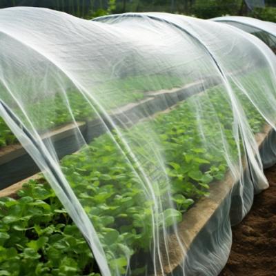 China 3m Width 20m Length 60 Mesh Garden Netting Anti Bird For Fruit Trees Orchard for sale