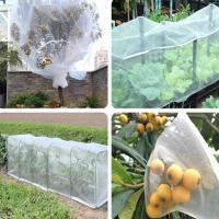 China Heavy Duty Garden Netting Custom Width Length Mesh for Greenhouse Anti Bug Plant for sale