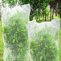 China 3m Width 20m Length 60 Mesh Garden Netting Anti Bird For Fruit Trees Orchard for sale