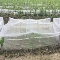 China Outdoor Farm  Garden Netting Thick Mesh Custom Width Length for Fruit Gardens for sale