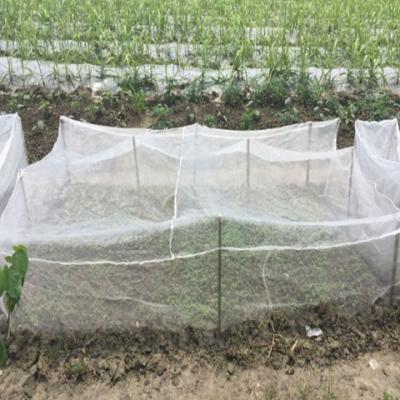 China Outdoor Farm  Garden Netting Thick Mesh Custom Width Length for Fruit Gardens for sale