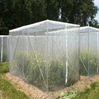 China Field Vegetable Plot Barrier Garden Netting Multi Mesh Count Optional Width Or Roll Length for sale