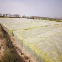 China All Mesh Specifications Garden Net For Farm And Home Plant Protection for sale