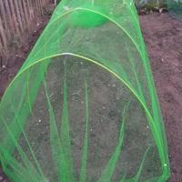 China Farm Plant Protection Insect Net Adjustable Size Mesh For Vegetable And Fruit Trees for sale