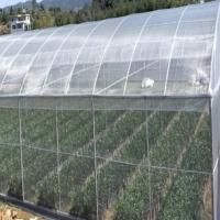 China Farm Plant Protection Insect Net Adjustable Size Mesh For Vegetable And Fruit Trees for sale
