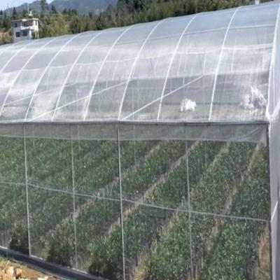 China Farm Plant Protection Insect Net Adjustable Size Mesh For Vegetable And Fruit Trees for sale