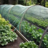 China Wholesale Garden Netting Multiple Mesh Weather Resistant Net For Fruit Tree Planting for sale