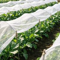 China Wholesale Garden Netting Multiple Mesh Weather Resistant Net For Fruit Tree Planting for sale