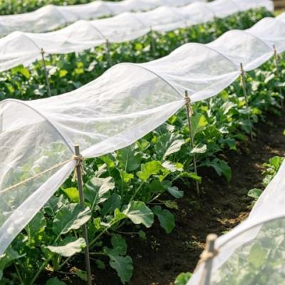 China Wholesale Garden Netting Multiple Mesh Weather Resistant Net For Fruit Tree Planting for sale