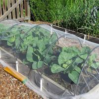 China Multi Mesh Custom Width Length Insect Net UV Resistant For Greenhouse Garden Plants for sale