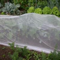 China Wholesale Insect Net Multiple Mesh Sizes  For Fruit Tree Vegetable for sale