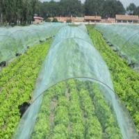 China 4m Wide Garden Netting Pest Barrier For Greenhouse Planting for sale