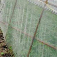 China Adjustable Width Length Garden Net Anti Bug Plant Protection Mesh for sale