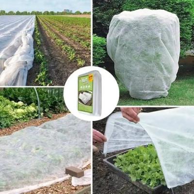 China UV Stabilized Insect Screen Breathable For Greenhouse Crop Protection for sale