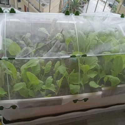 China Adjustable Width Length Garden Net Anti Bug Plant Protection Mesh for sale