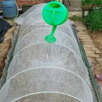 China Custom Width Length Insect Net High Mesh Garden Plant Insect Protection Net for sale