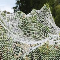 China Flexible Durable Bird Net  Keep Birds Away For Orchard And Berry Plants for sale