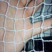 China Flexible Durable Bird Net  Keep Birds Away For Orchard And Berry Plants for sale