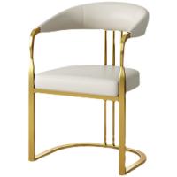 China Stainless Steel Flange Luxury Dining Chairs For Leisure Facilities for sale