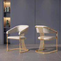 China Modern Minimalist Luxury Dining Chair Stainless Steel Leisure Facilities for sale