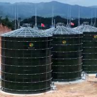 China Commercial Biogas Plant Construction In Biogas Thermal Power Plant for sale