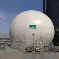 China Commercial Biogas Plant Cow Dung Gas Plant Biogas Systems for sale