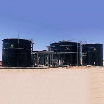 China Gas Holder In Biogas Treatment System Biogas Electricity Plant Cost for sale