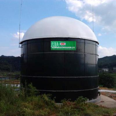 China Anaerobic Reactor Biogas Purification Equipment In Biogas Plant Project for sale
