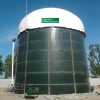 China Anaerobic Reactor Biogas Purification Equipment In Biogas Plant Project for sale