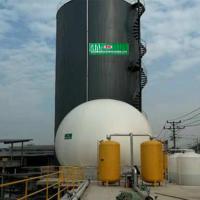 China Anaerobic Biogas Digester Biogas Production From Organic Waste for sale