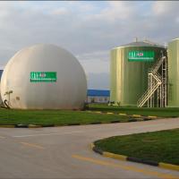 China Biodigester Bio Gas Power Plant Biogas Production From Cow Dung for sale