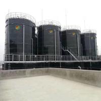 China Animal Manure Anaerobic Digester Biogas Production In Bio Gas Plant Project for sale