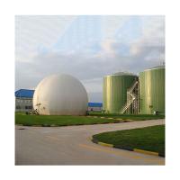 China Anaerobic Digestion Biogas Products Biogas Plant Project for sale