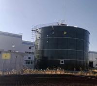 China Biogas Septic Tank Design Biogas Production In Bio Gas Plant Project for sale