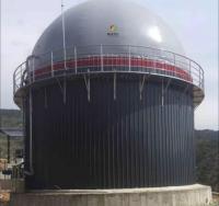 China Hydrolysis Anaerobic Digestion Anaerobic Digester Biogas Equipment for sale