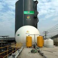 China Anaerobic Digester Design Digester Tank Wastewater Treatment for sale