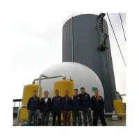 China Biogas Gas Holder Anaerobic Digester Floating Gas Holder Biogas Plant for sale