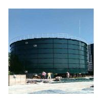 China Animal Manure Anaerobic Digester Biogas Production In Bio Gas Plant Project for sale