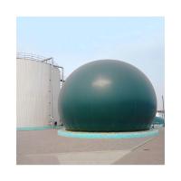 China Animal Manure Anaerobic Digester Biogas Production In Bio Gas Plant Project for sale