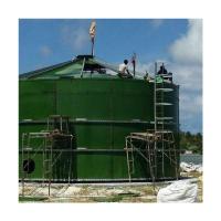China Animal Manure Anaerobic Digester Biogas Production In Bio Gas Plant Project for sale