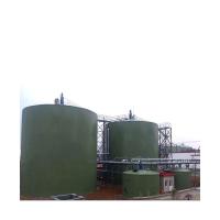 China Animal Manure Anaerobic Digester Biogas Production In Bio Gas Plant Project for sale