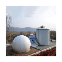 China Animal Manure Anaerobic Digester Biogas Production In Bio Gas Plant Project for sale