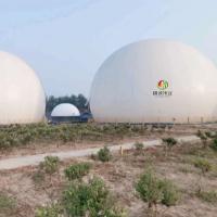 China Plastic Biogas Tank Biogas Holding Tank In Biogas Plant for sale